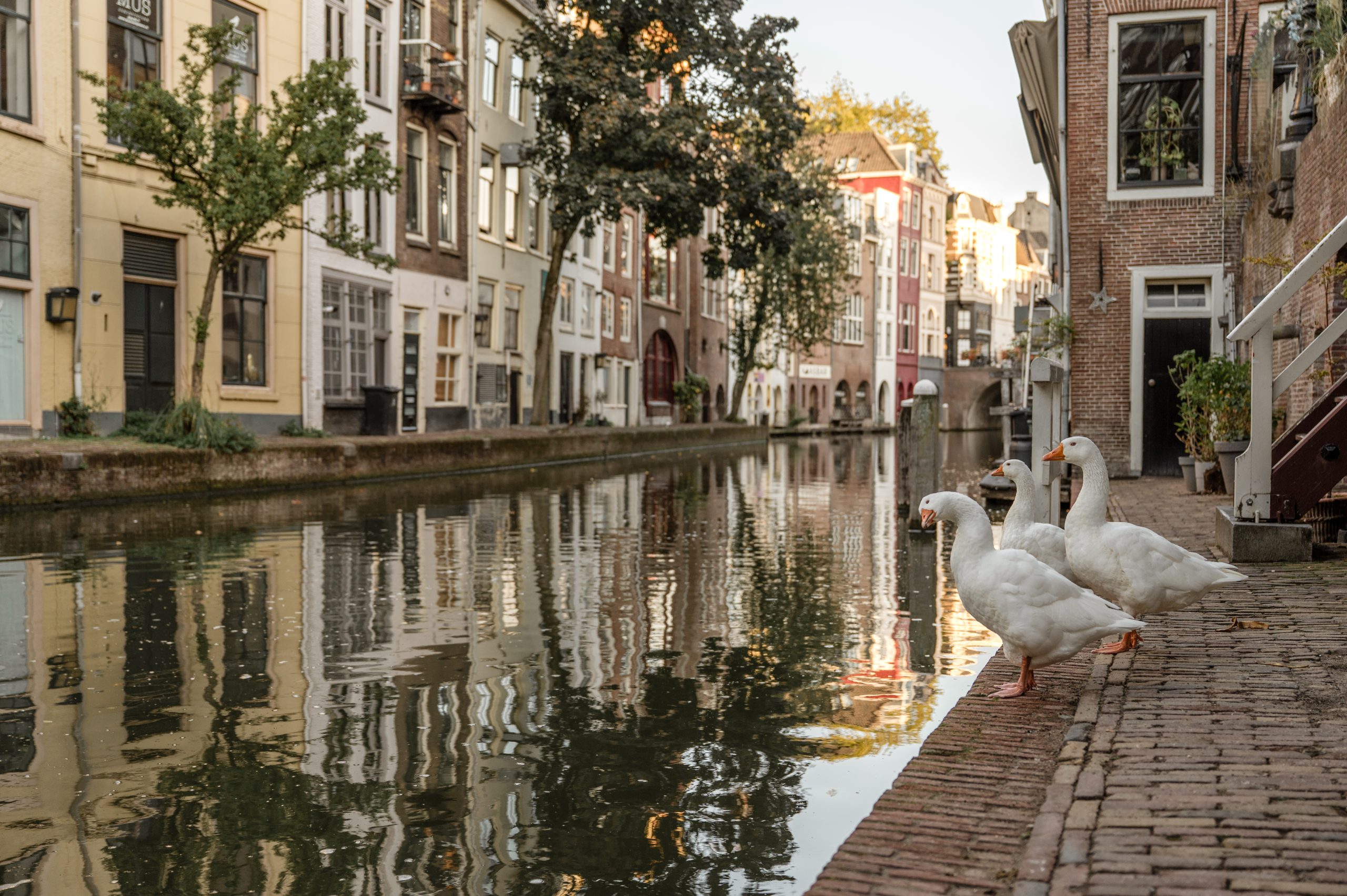 7x gelukshormonen scoren in januari | Ontdek Utrecht